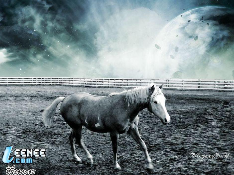 แบบที่ 1 ภาพ Raster (ภาพ Bitmap) - GotoKnow