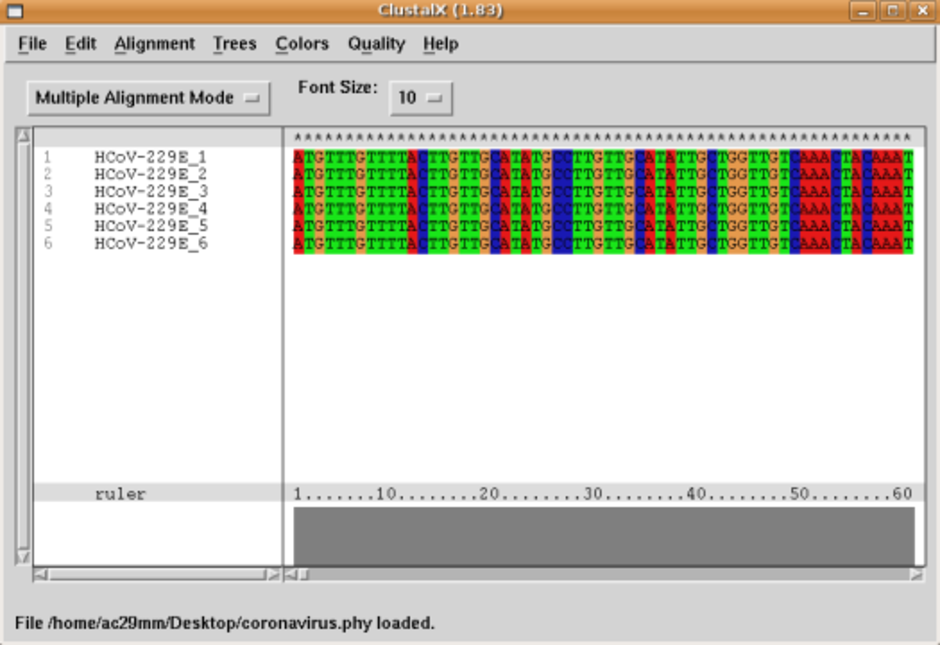 clustalx บนอูบุ้นทู (ภาพ) - GotoKnow