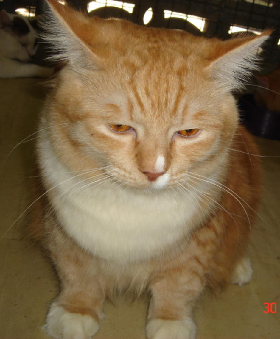 พันธนาการใหม่ในชีวิต:ชั่วโมงการทำงาน - เสรีภาพแห่งรัก