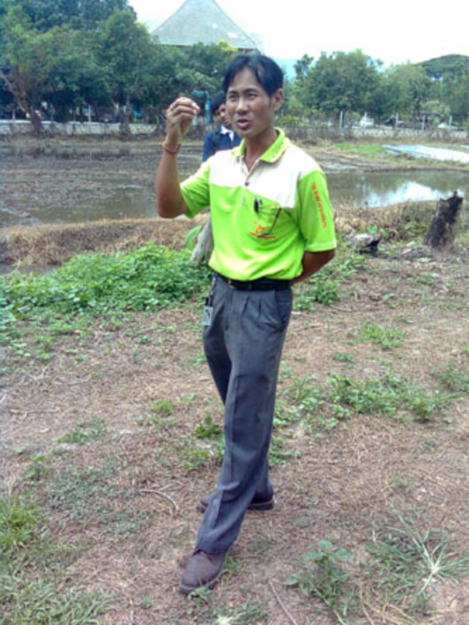 เกษตรอินทรีย์มาแล้วจ้า...!!!! - GotoKnow