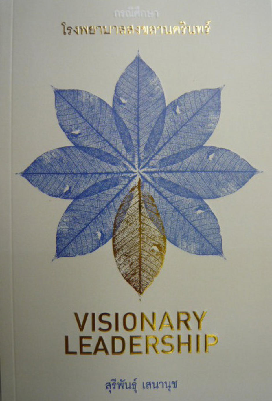 ชีวิตที่พอเพียง : ๙๔๙. Visionary Learnership - GotoKnow