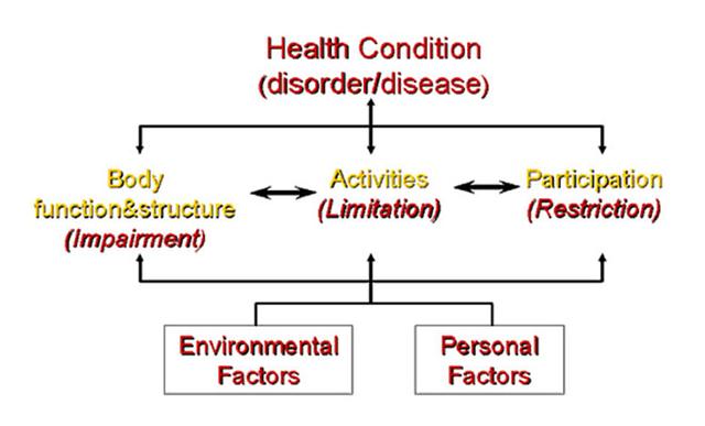 ถอดบทเรียน ICF - chayanan vachirangkul - GotoKnow