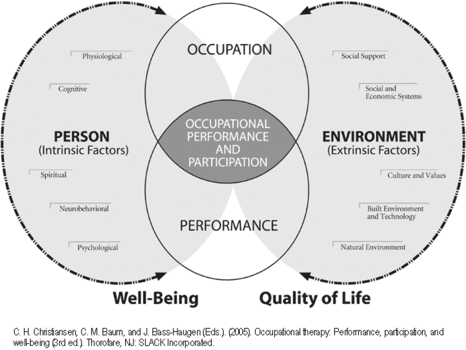 บทความกิจกรรมบำบัดในผู้สูงอายุ ตอน แผ่นหลังลูกผู้ชาย - กิจกรรมบำบัดศึกษา
