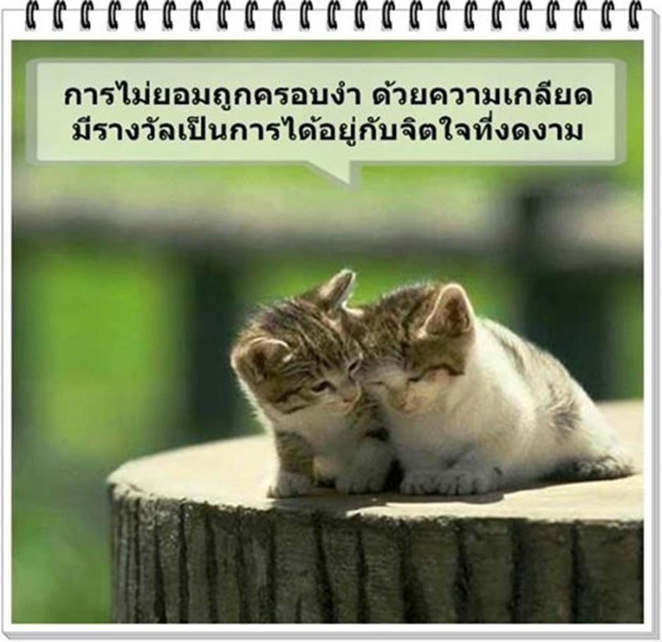 คำคมที่ฉันชอบสะสม...(๑๓๒) - GotoKnow