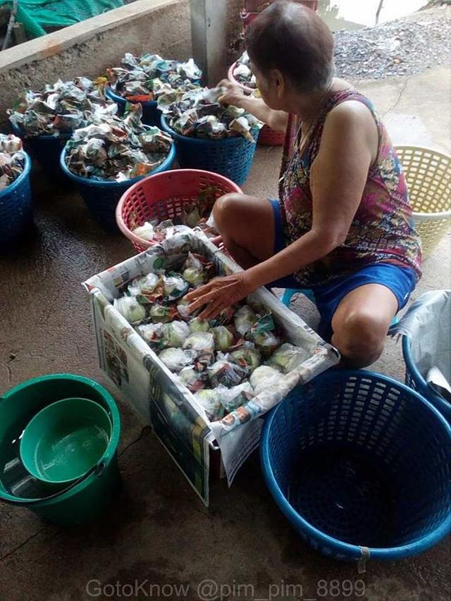 ฝึกประสบการณ์วิชาชีพการพัฒนาชุมชน ครั้งที่ 41 - GotoKnow