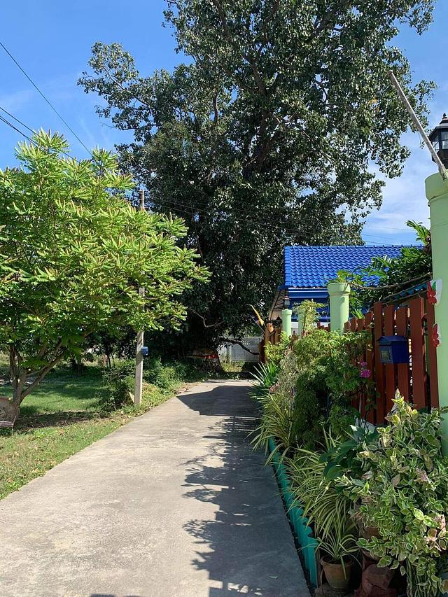 ฝึกงานวันที่26 หมู่ 9 บ้านเเจ่มใส (วันที่17 มกราคม65) - GotoKnow