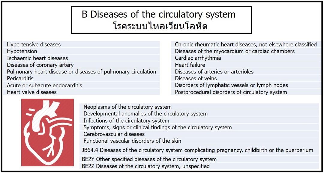ICD-11 บทที่ 11 โรคระบบไหลเวียนโลหิต - GotoKnow