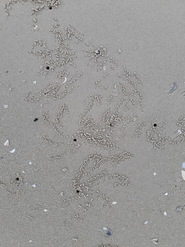 ความช้าที่หัวหิน … ความสุขที่เปลี่ยนแปลง: Mental models (4) - GotoKnow