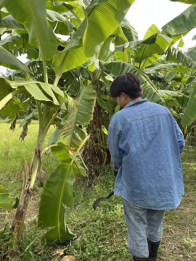 บันทึกการฝึกประสบการณ์อาชีพ 12.09.65 - GotoKnow