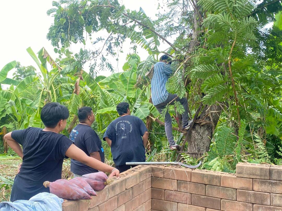 บันทึกประสบการณ์อาชีพ 17/08/65 - GotoKnow