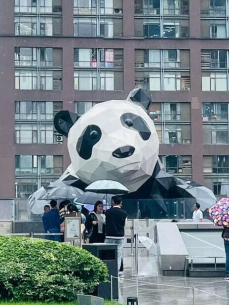 เฉิงตู เมืองเอกอันยิ่งใหญ่แห่งมณฑลเสฉวน (12) หมีแพนด้ายักษ์ปีนตึก IFS ...