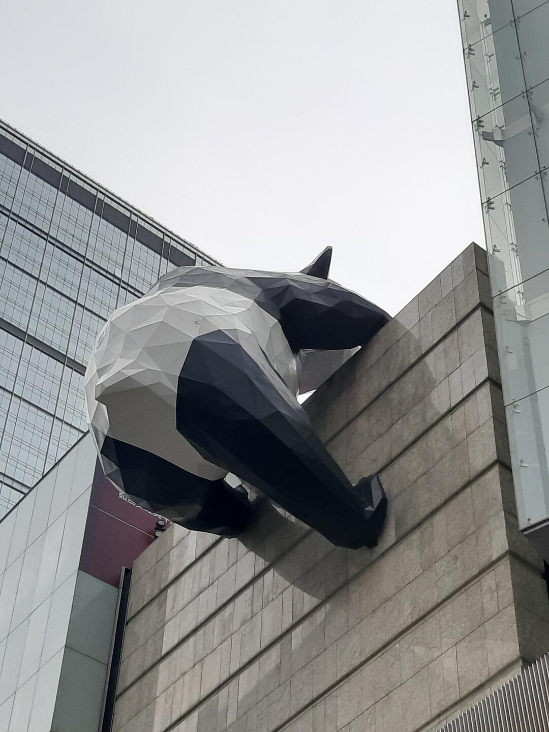 เฉิงตู เมืองเอกอันยิ่งใหญ่แห่งมณฑลเสฉวน (12) หมีแพนด้ายักษ์ปีนตึก IFS ...